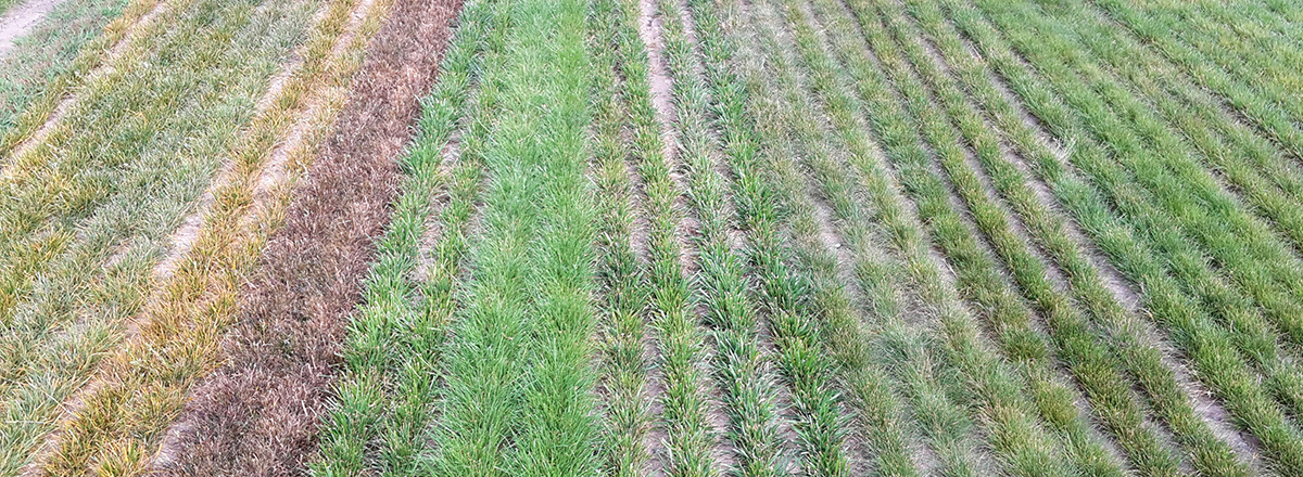 Cases - Børsen Bæredygtig